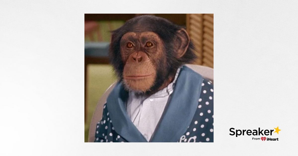 BEWITCHING MAYBERRY: Chimp In a Hat (w/ 80s TV Ladies)