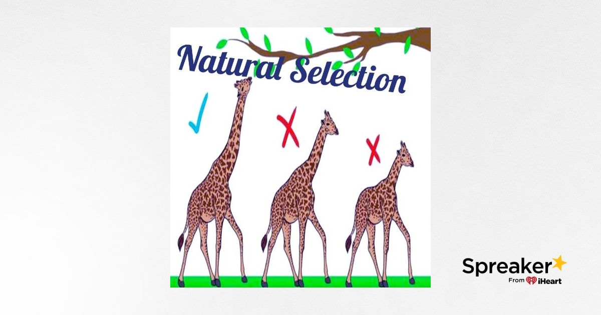 Natural Selection Episode 74 - Dark Skies News And information