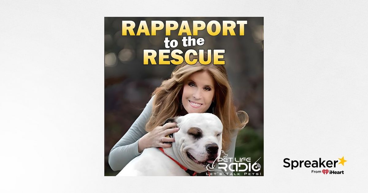 Rappaport To The Rescue - Paw 64: Donna Karan & Georgina Bloomberg with ...