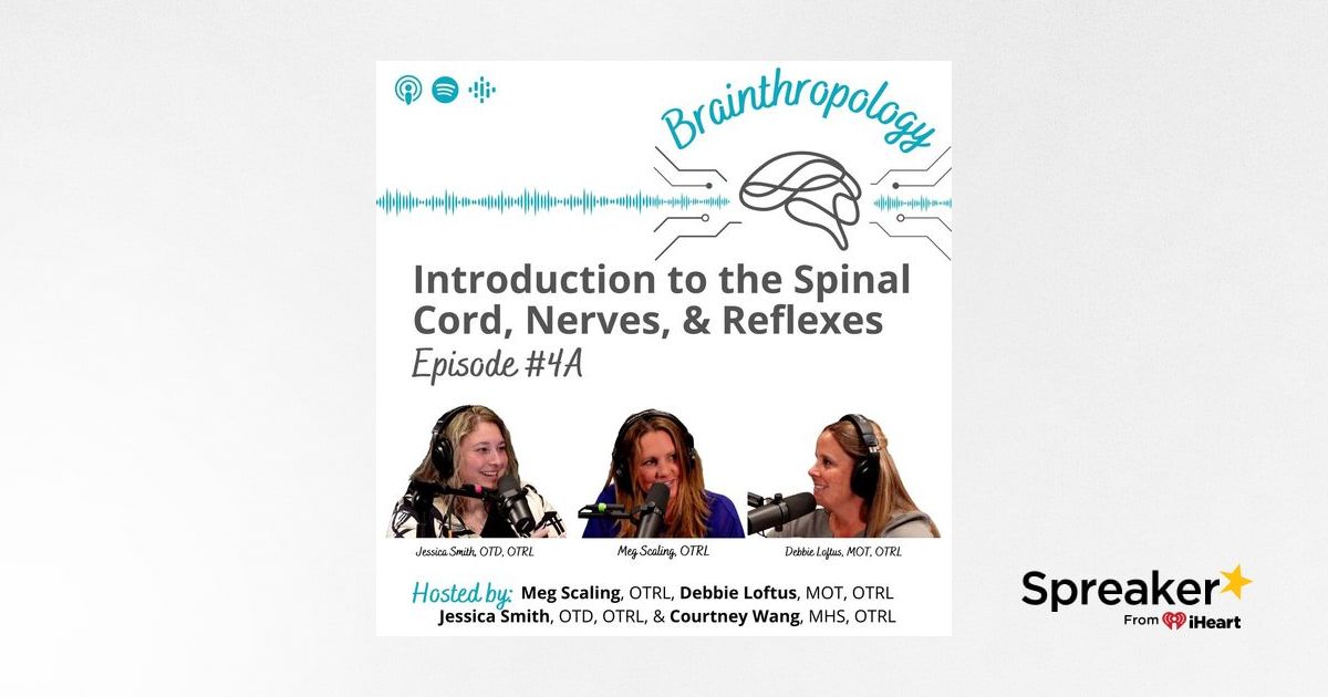 04A: Introduction to the Spinal Cord, Nerves, and Reflexes