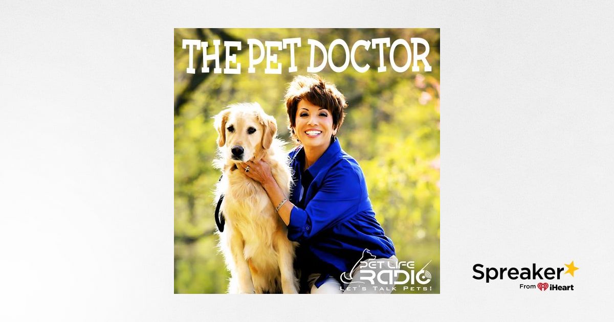 The Pet Doctor - Keeping your pets healthy & pet wellness - Pet Life ...