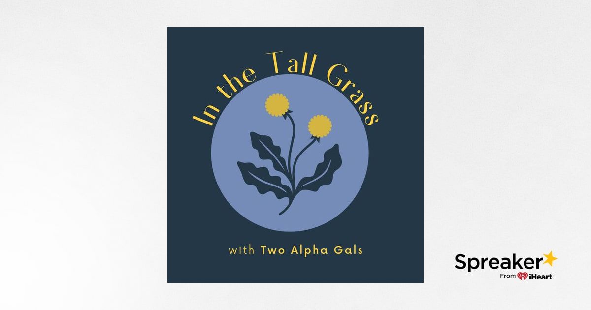 Be Relentless: A Conversation with Seth Togal, the Father Behind the ...