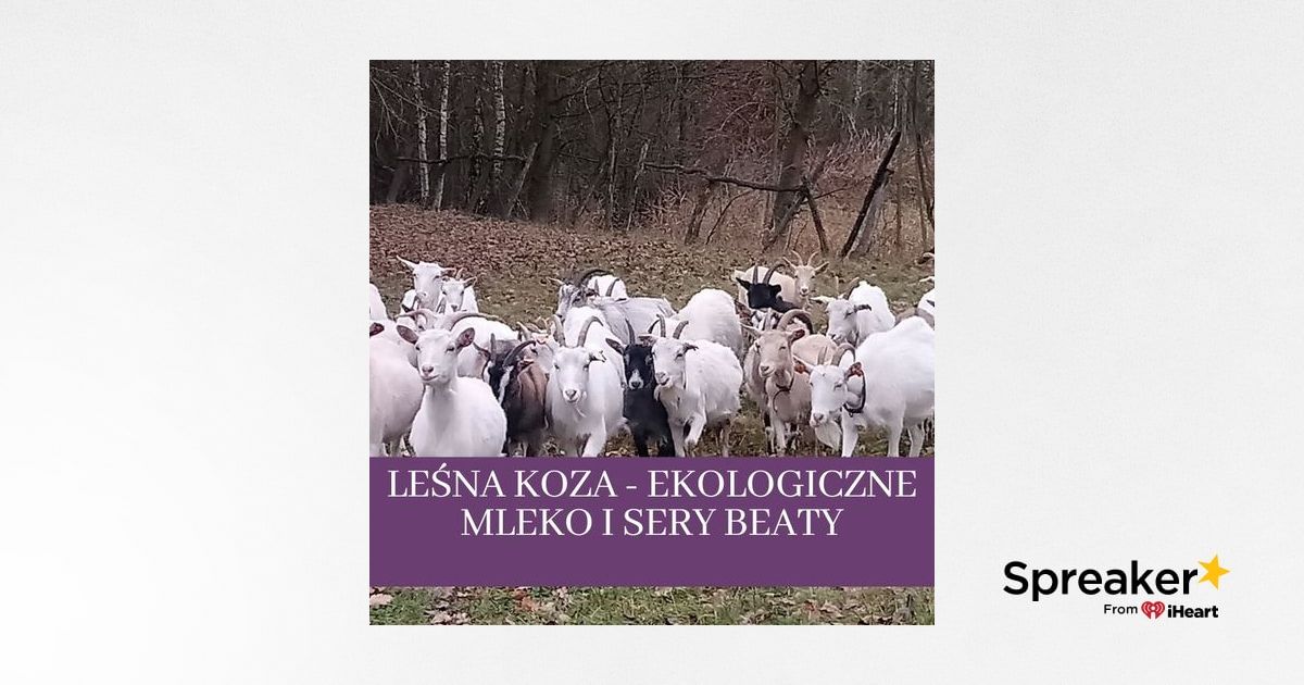 12 Leśna Koza i ekologiczne kozie sery - Rozmowa Beata Perepeczo