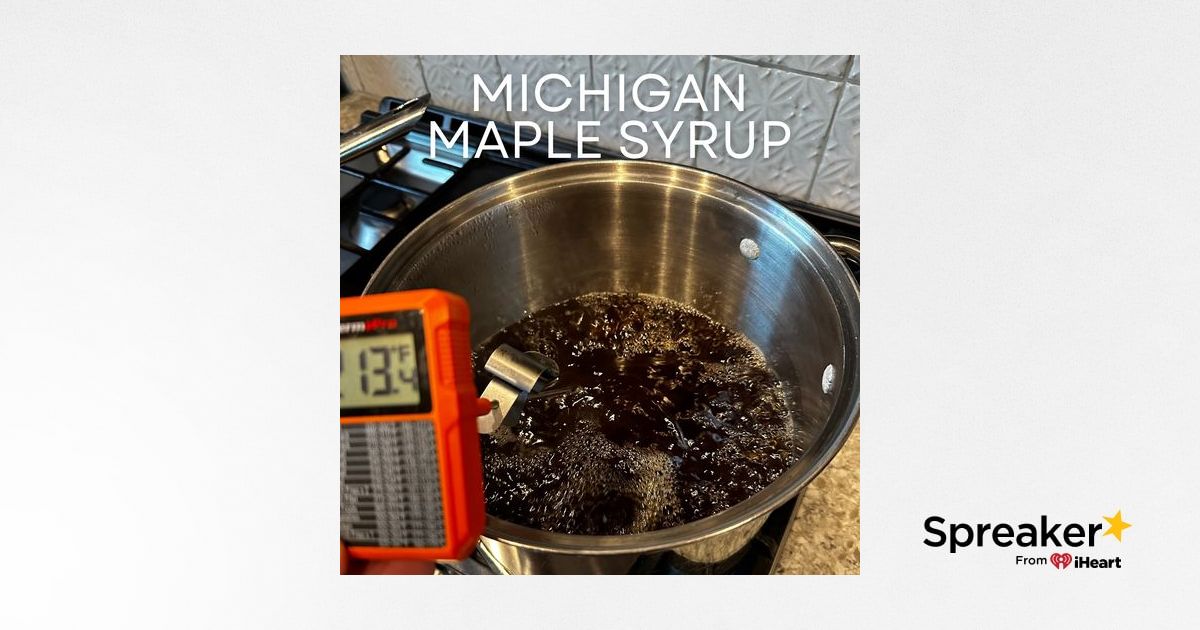 Beginner's Guide: How to tap maple trees and make your own maple syrup ...