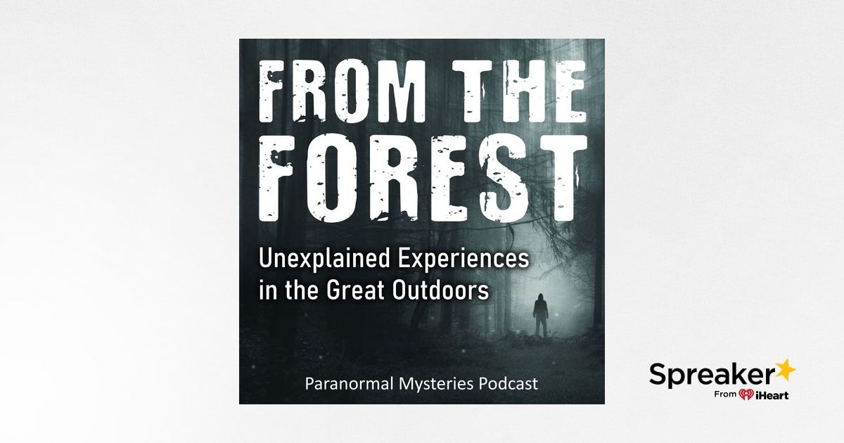From The Forest: Strange Creatures, Bizarre Lights, Missing Time, UFOs ...