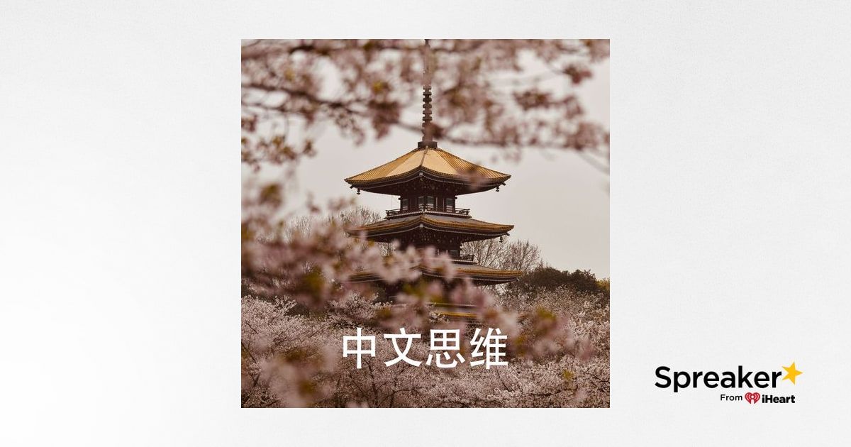 Essential Mandarin Chinese Phrases for Beginners | 基础短语的求生逻辑