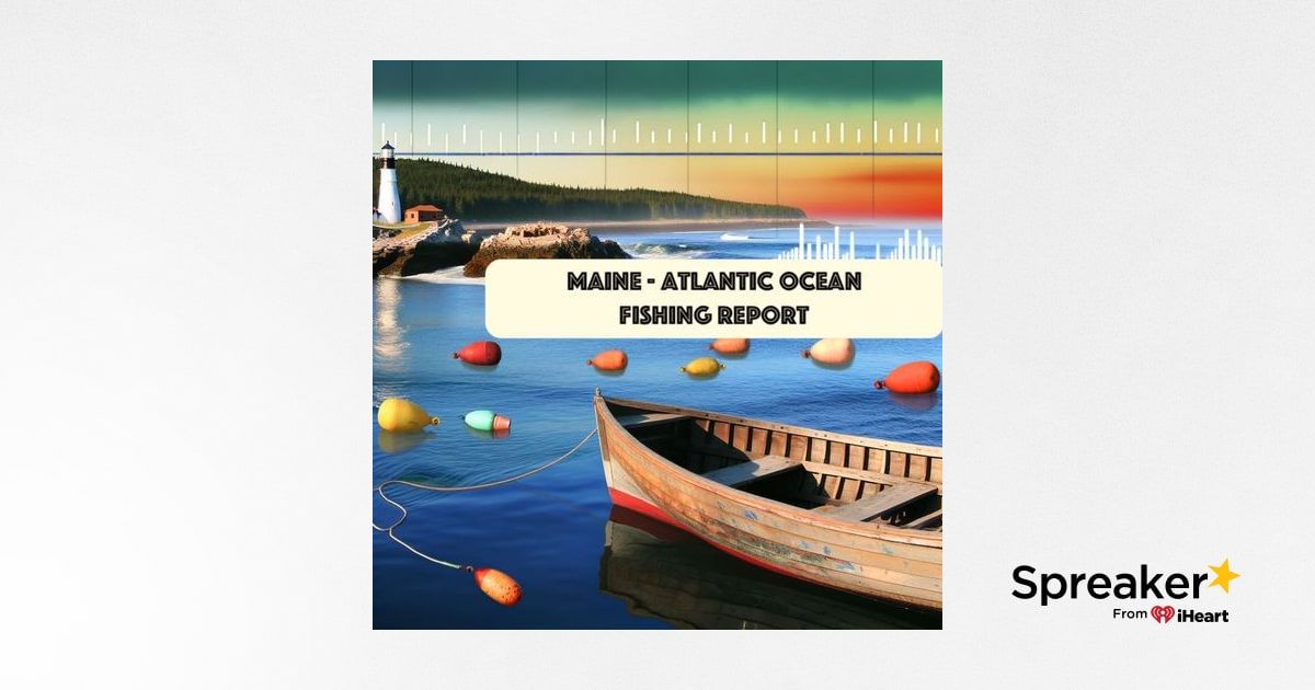 Fishing the Atlantic Off Maine: Cod, Haddock, and Tidal Trends in 2025