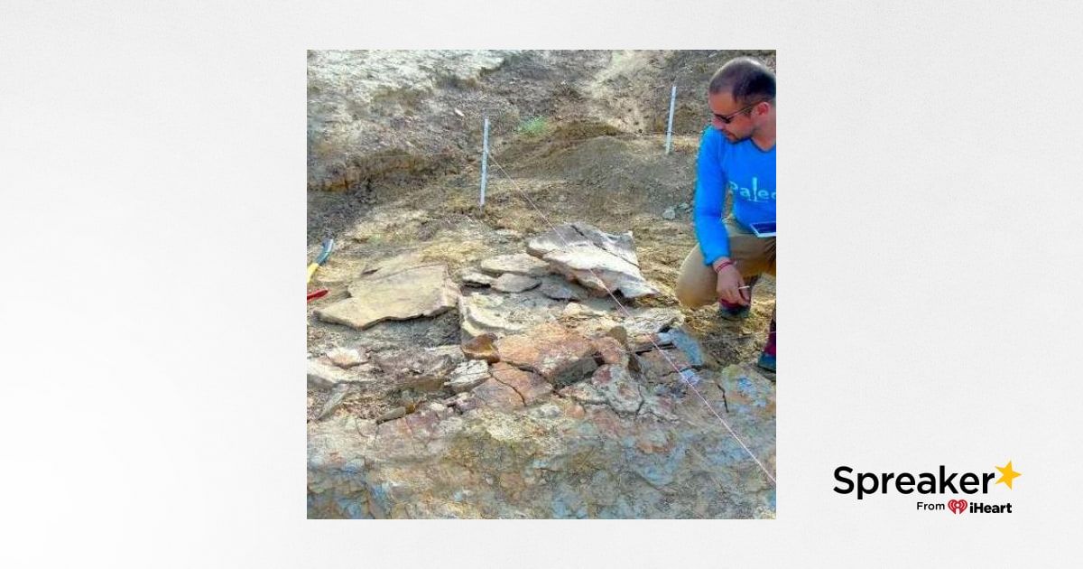 La historia detrás de los fósiles en el desierto de la Tatacoa - Edwin Cadena