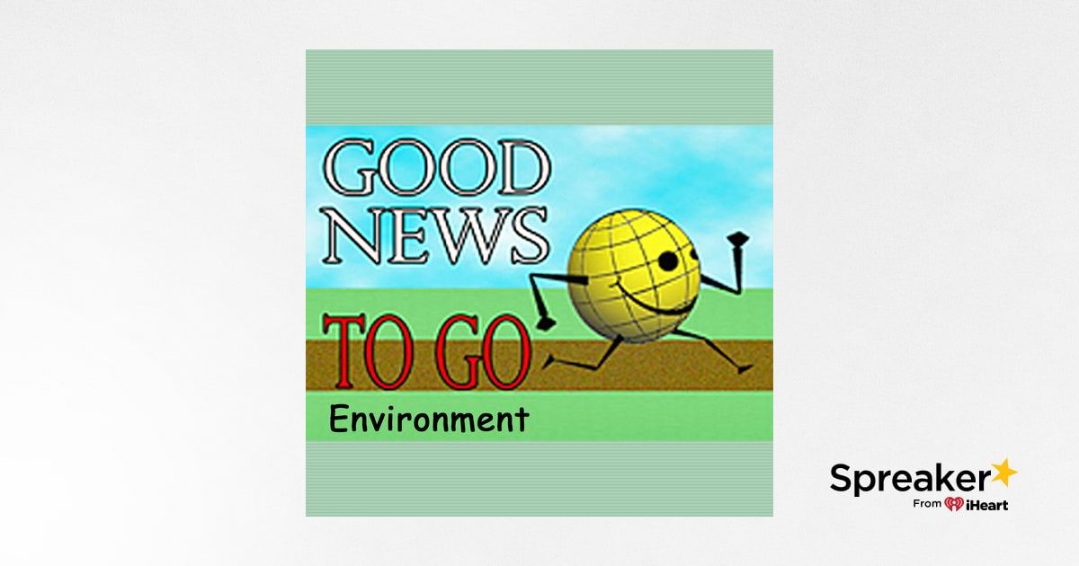 A Love Letter to Life: Yongzheng and His Porcelain When Civilization ...