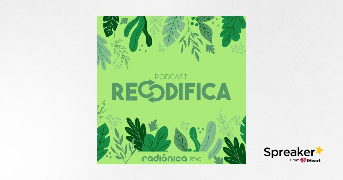 ¿Resocialización de perros ferales? Conoce la historia de Koda: de ...