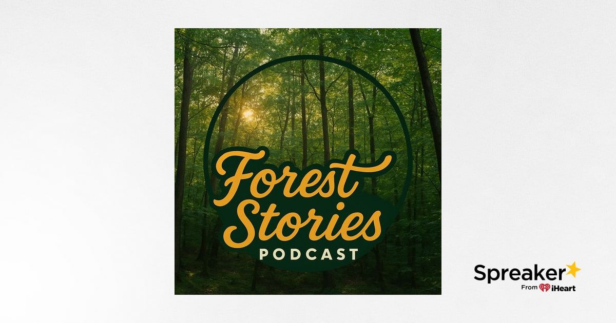 Forest Stories Episode Thirty Four The Spring Rain