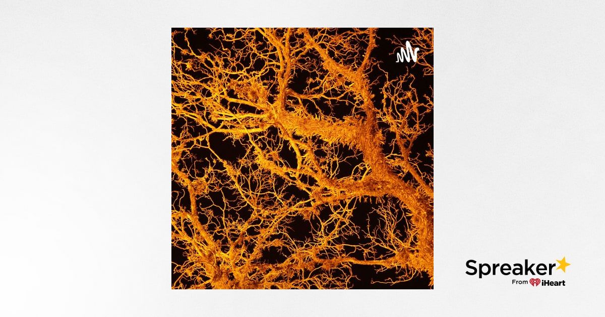 262.和别的女人在手机上调情，但他拒不承认这是精神出轨