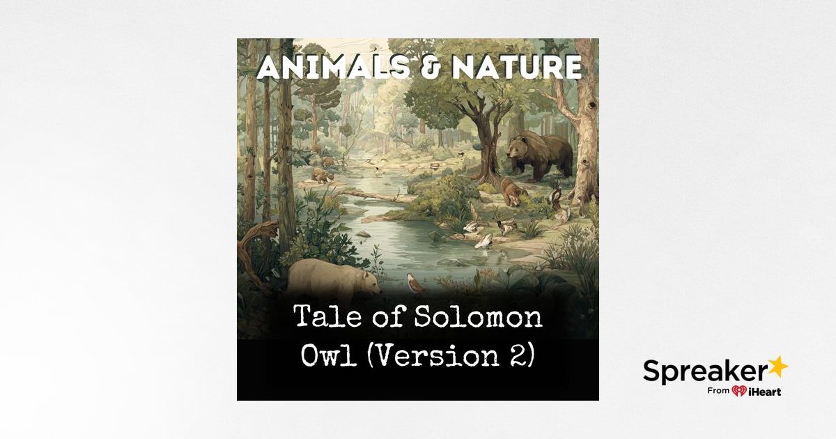 Tale of Solomon Owl (Version 2)
