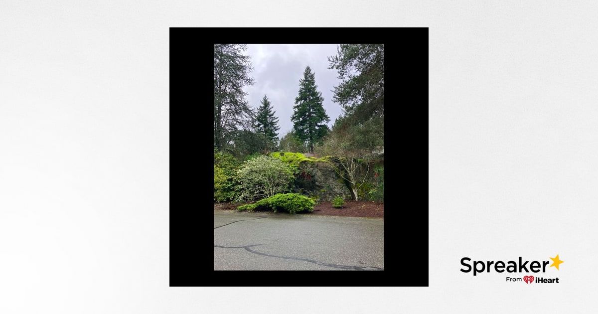 14) Audio Postcards (Jackal) 2024-03-27