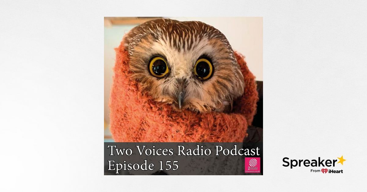 Bake Off round up. Rocky the owl. Isle of Wight hovercraft. 2021 food ...