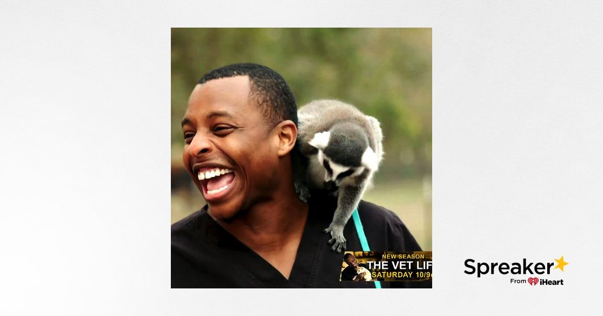 Dr Diarra Blue From Vet Life On Animal Planet