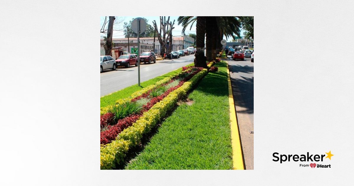 ¿De dónde surge camellón?