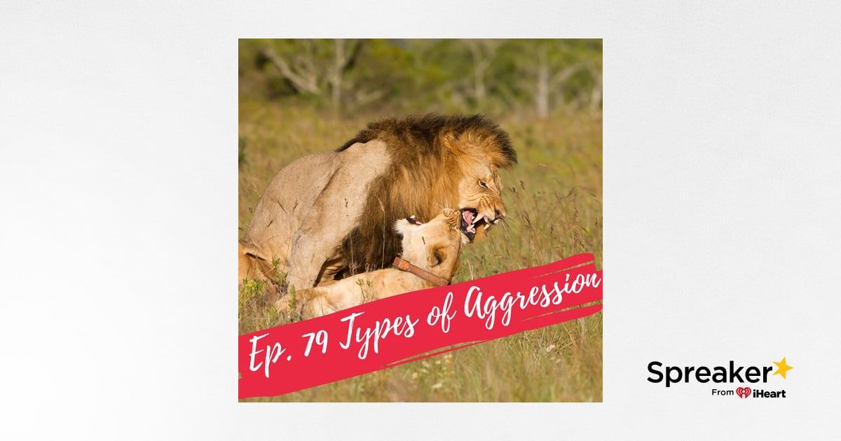 Ep. 79 Types of Aggression