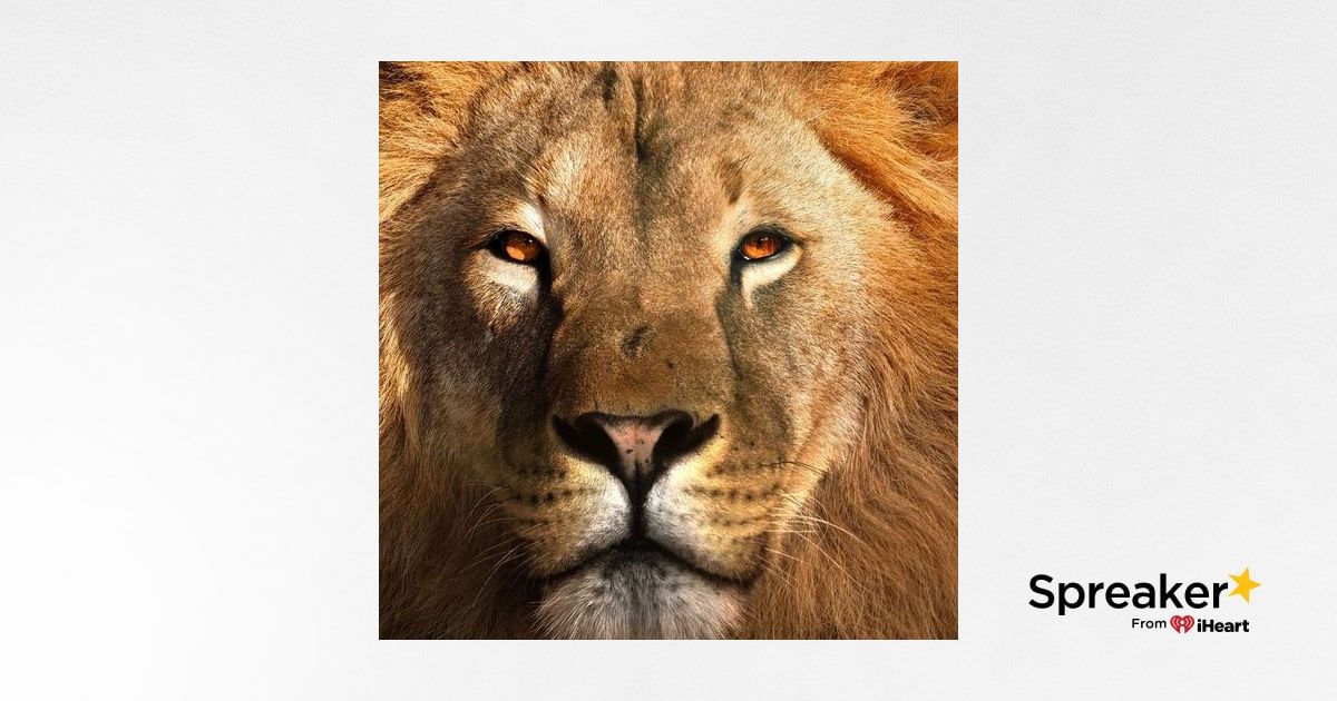 A False Prophet/False Teacher Will Not Preach And Teach The Apostle's ...