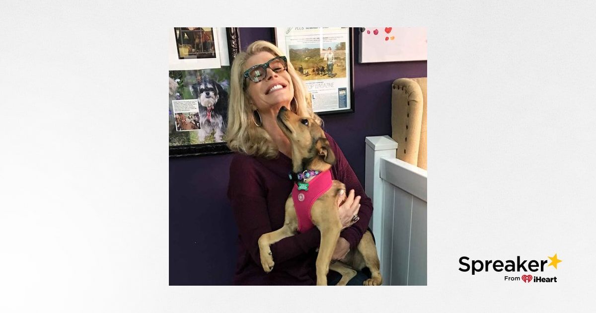 1262. Actress Kim Sill's Pet Project