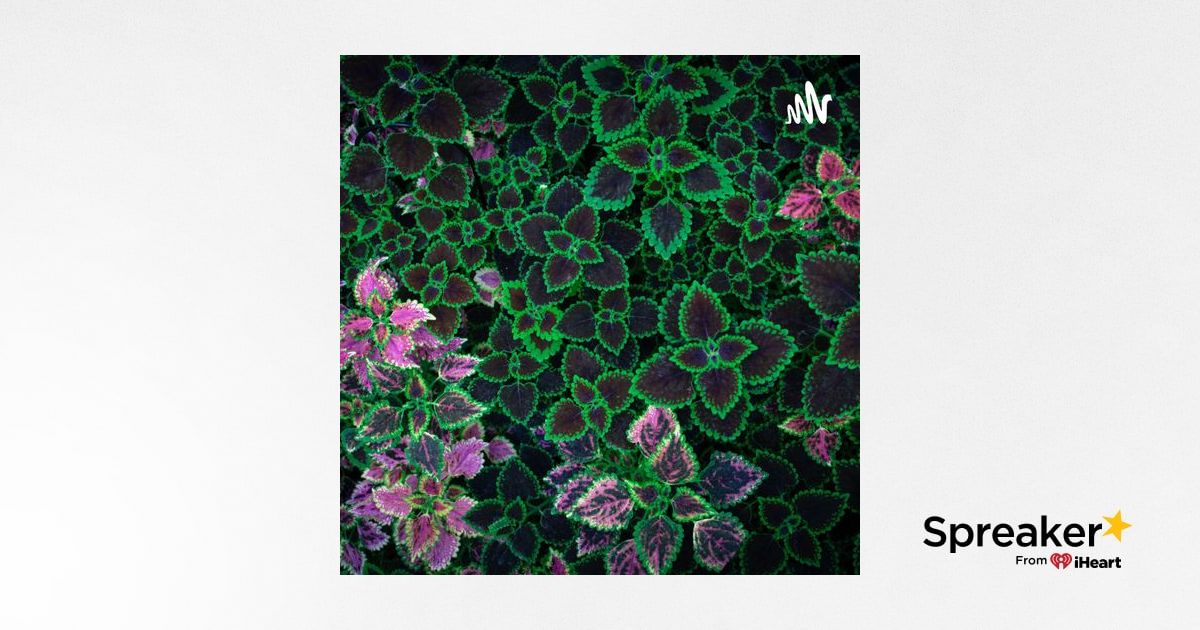 5116.学校安排每天搜身查手机 学生吐槽：早餐都被捏烂了