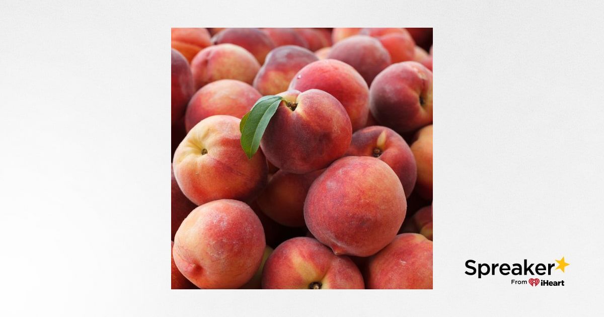Prowling The Peach State