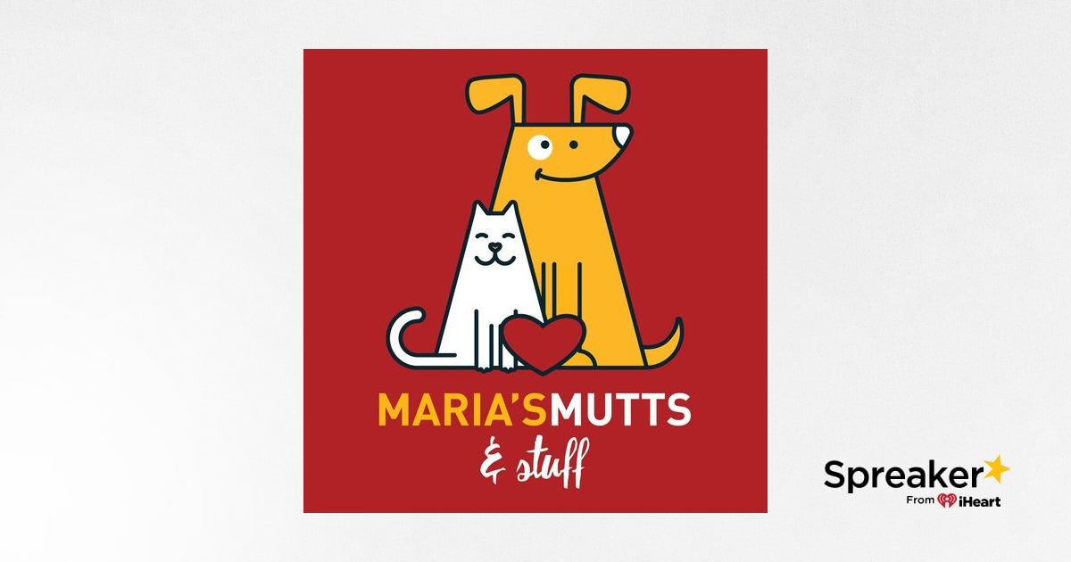 Warrior Canine Connection Offers A New Program At Asheville's Veterans ...