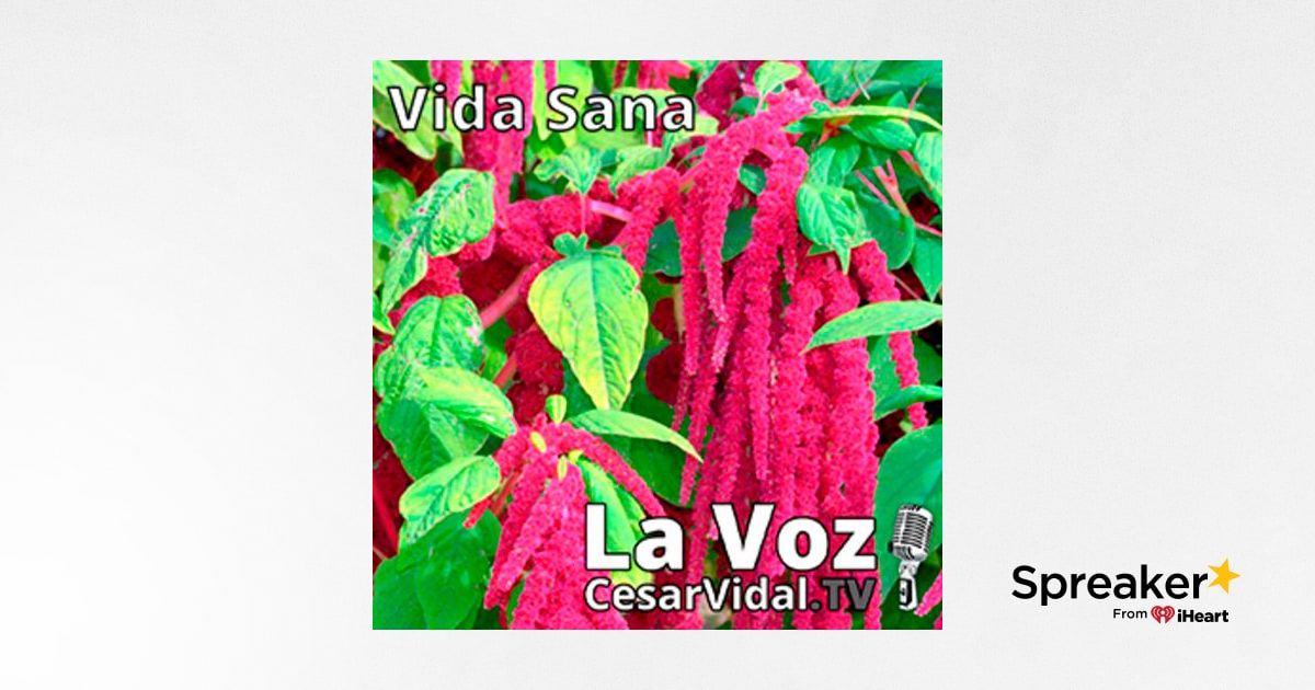 Vida Sana: El Amaranto: El rey de los pseudocereales - 07/04/21