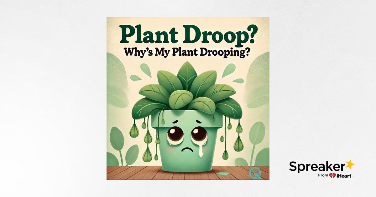 Why Is My Plant Dying Secrets Revealed: Expert Tips to Revive Drooping ...