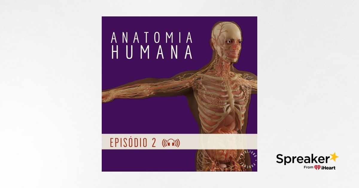 ANATOMIA: Termos anatômicos