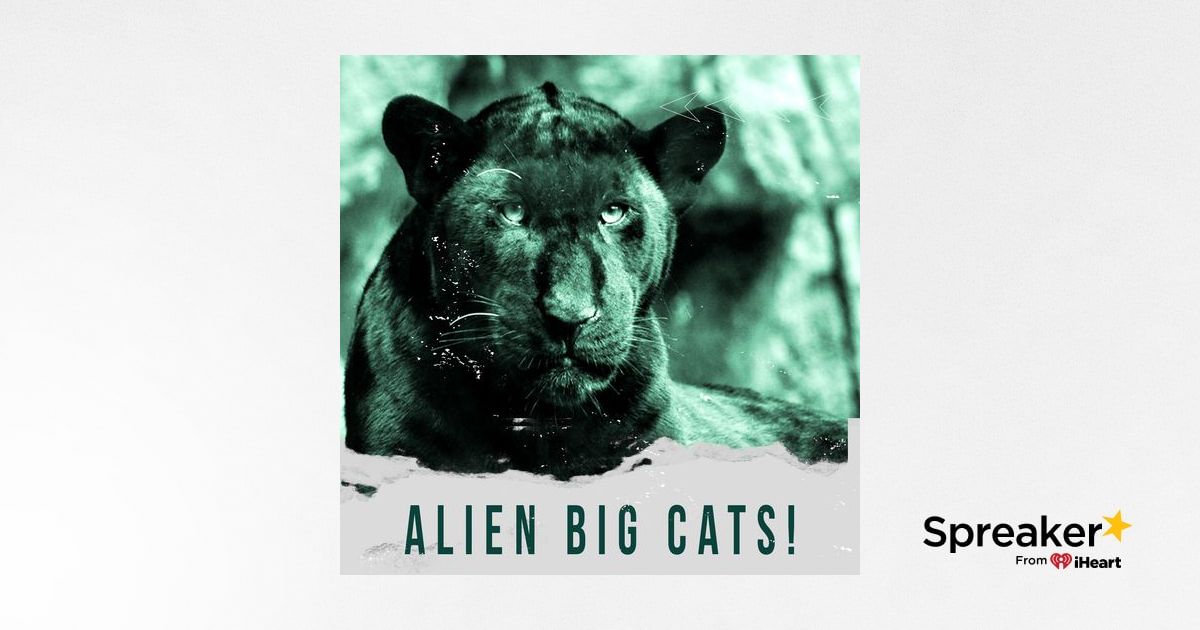 What Are The Legendary Alien Big Cats In Britain And Australia?