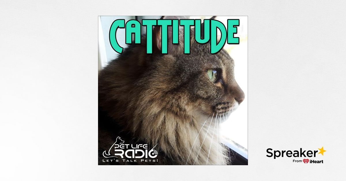 Cattitude - Episode 290 Cats About Town: NYC’s Secret Feline History