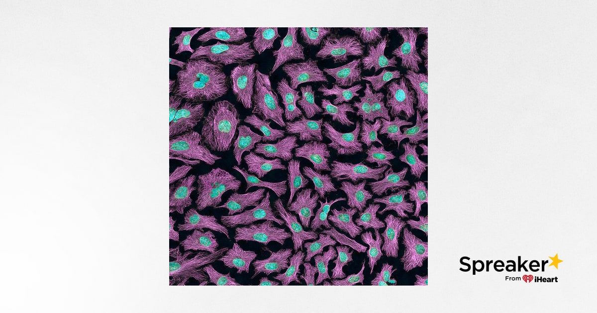 45 - Come fanno le cellule a creare il corpo umano? - Biologia