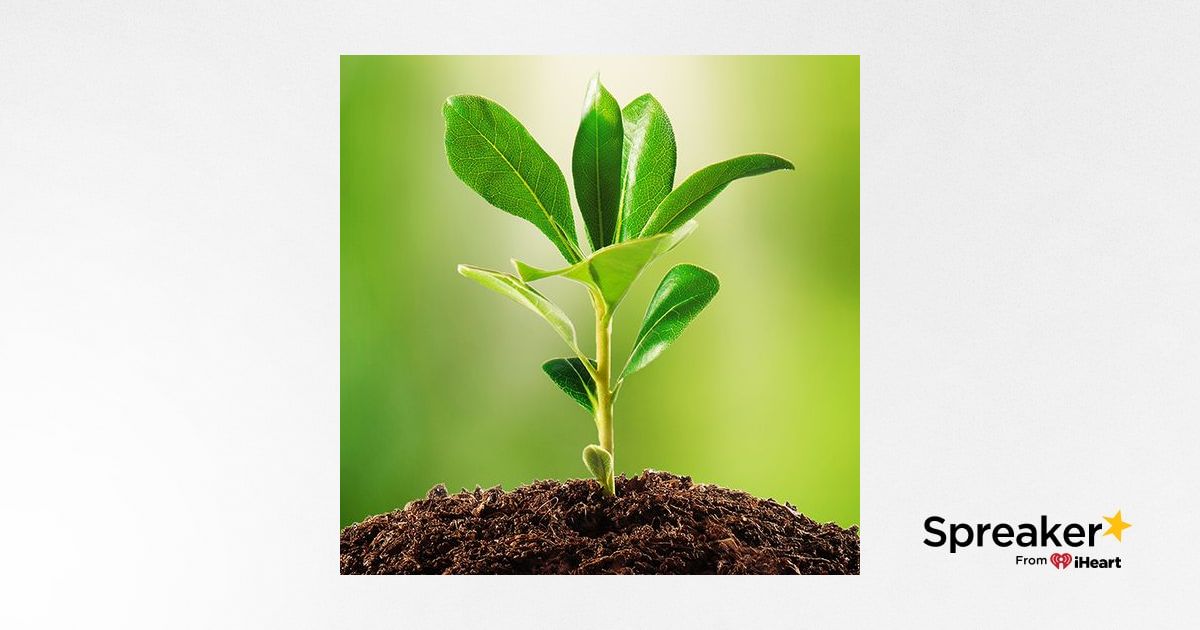 Plants Have Life to: (Pre-Rec)