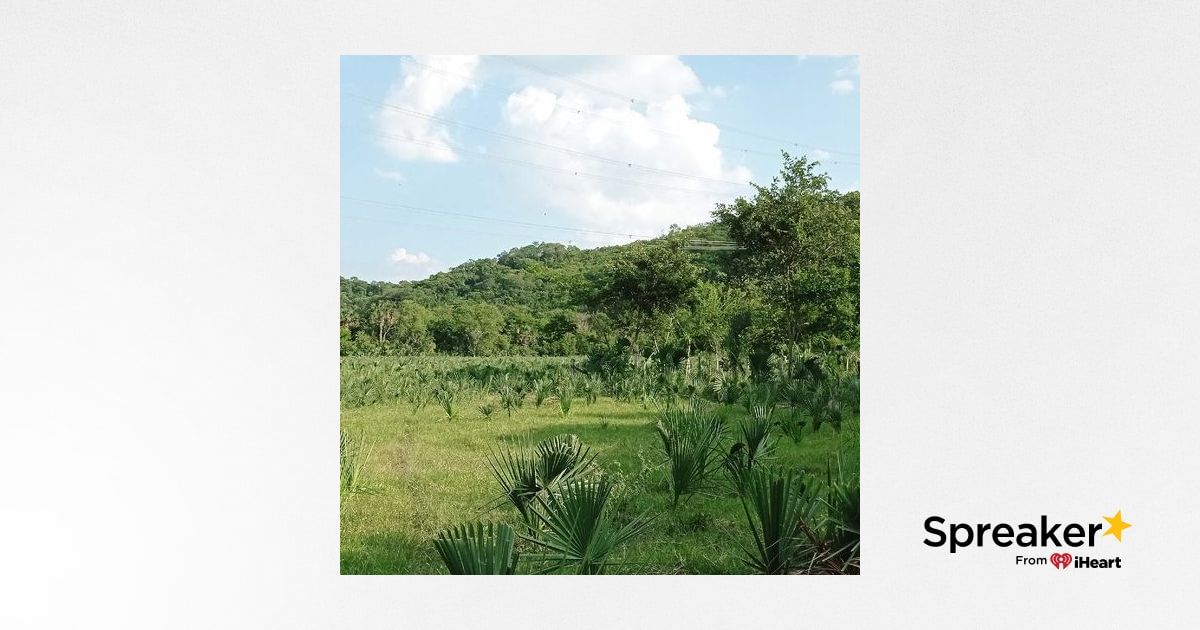 Lengua Indígena (Tenek)