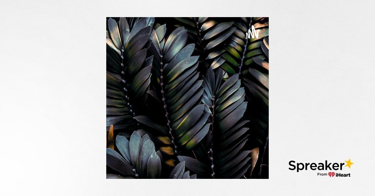 247.别让巴西的世界杯，成了你自己的悲世界