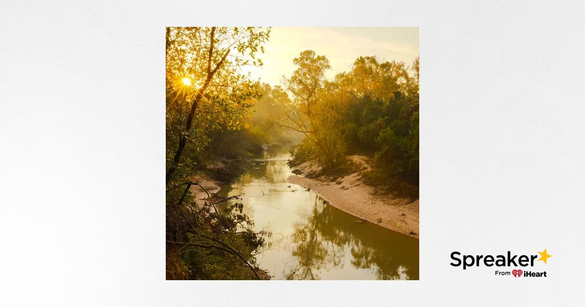 5 Susan Chadwick of Save Buffalo Bayou: Taking Care of Our Local Bayous ...