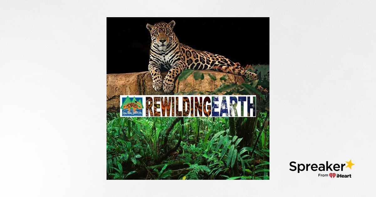 Rewilding Earth