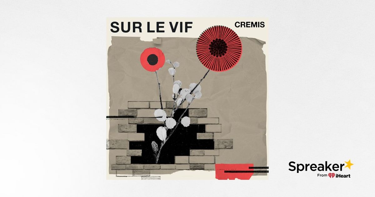 Ép. 29 - Dans le regard des jeunes trans et non-binaires : Photovoix et ...