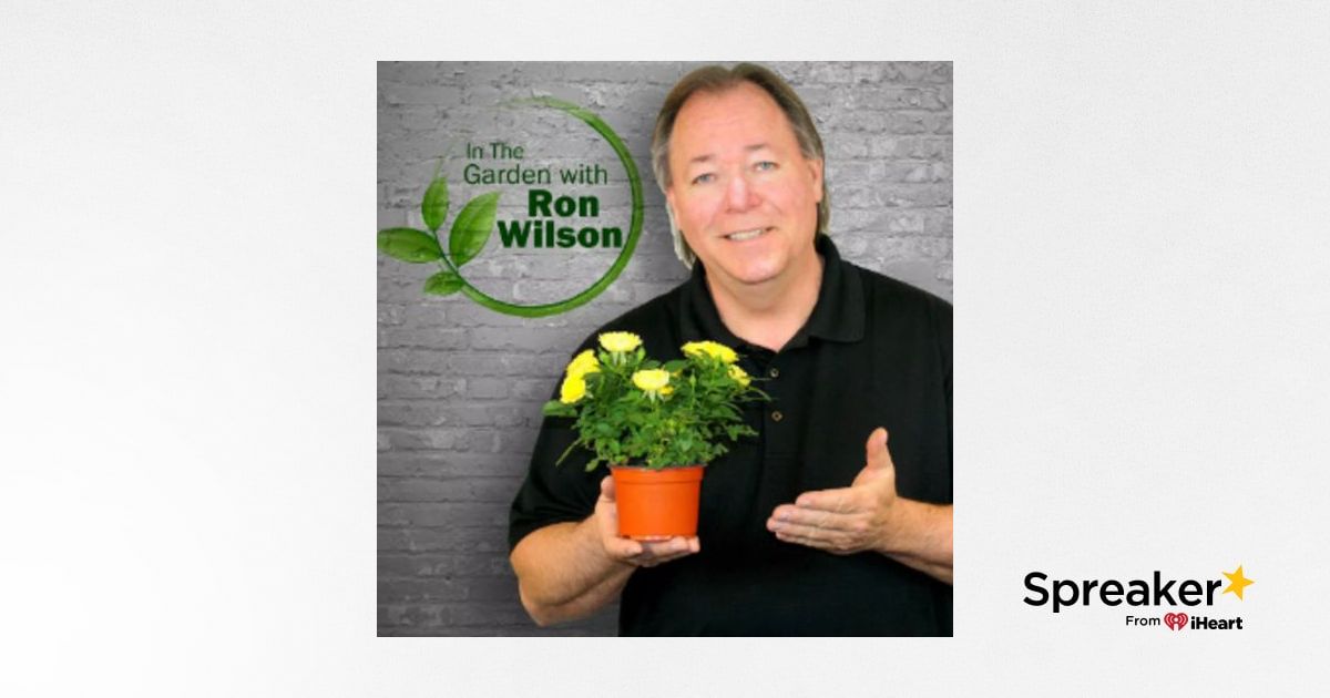 Ron Wilson 11/11/2023 Hour 1