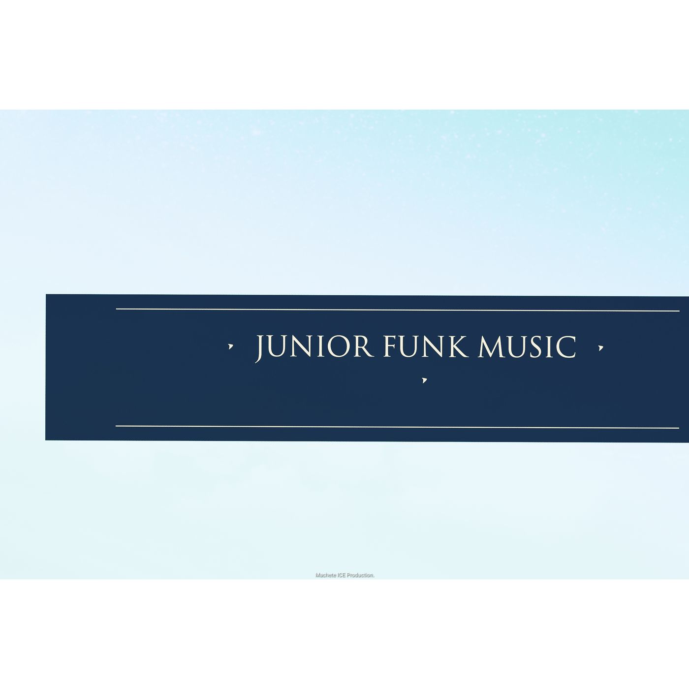 Contacts, Reach, Demographics for Junior Funk Music LABLE's show ...