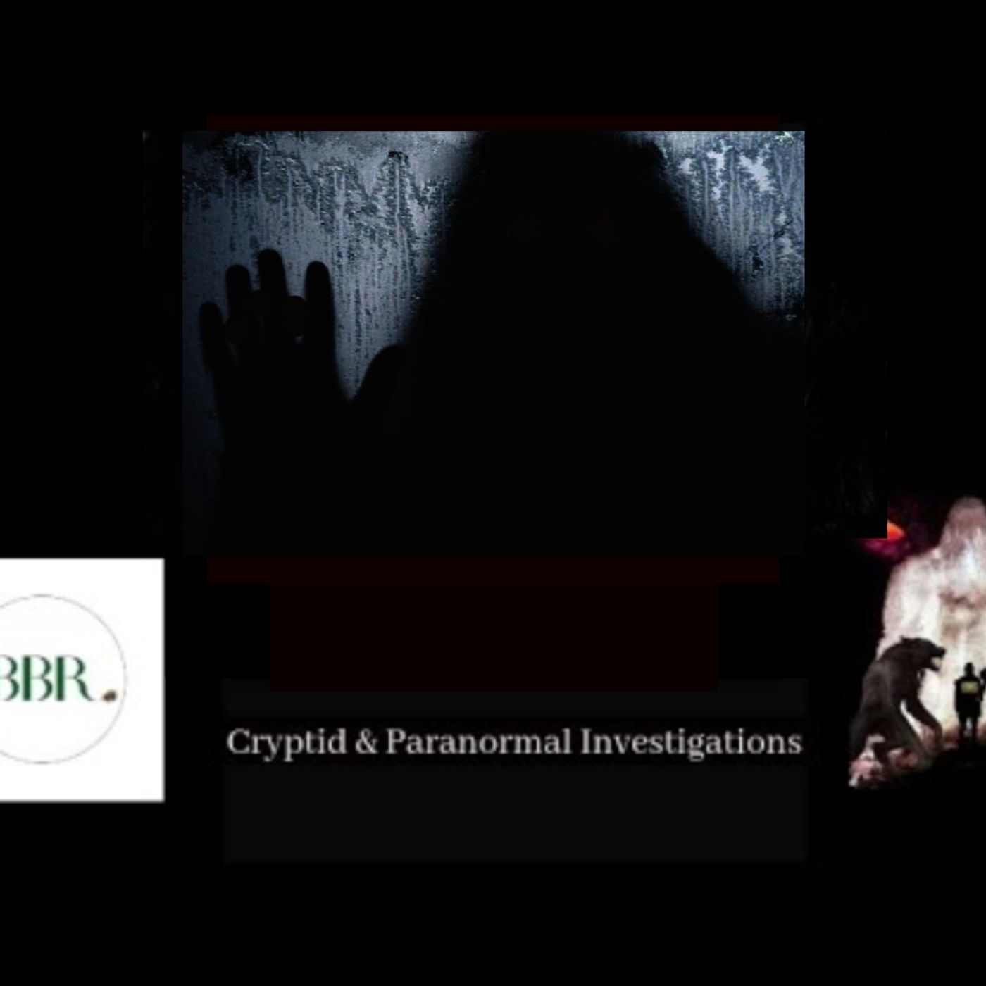 Prt 2 - Cannock Chase, a Black Liquid Sphere, An 8ft tall Shadow Being ...