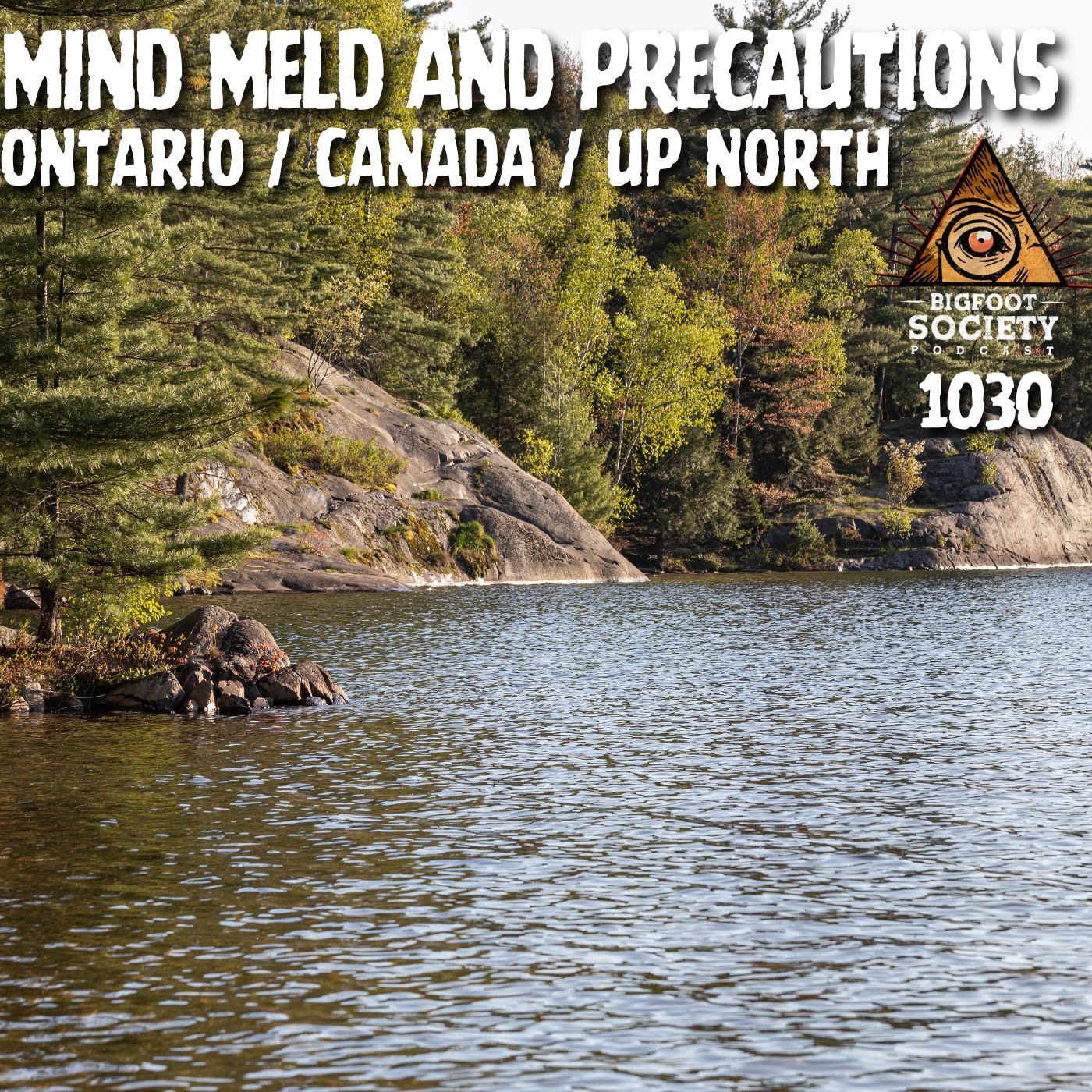 Patterns Don’t Lie: An Ontario Sasquatch Researcher Breaks Her Silence ...