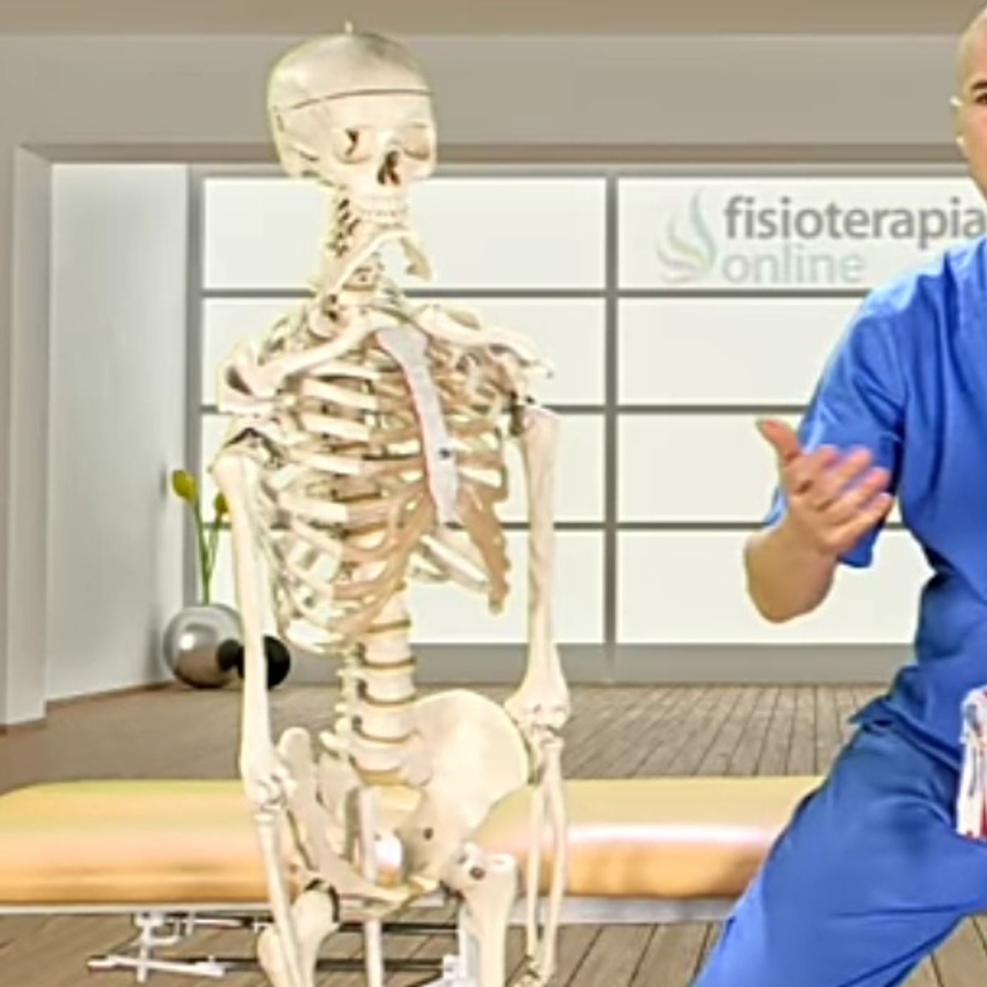 ¿qué Es La Tendinitis De Hombro O Supraespinoso Y Cuáles Son Sus