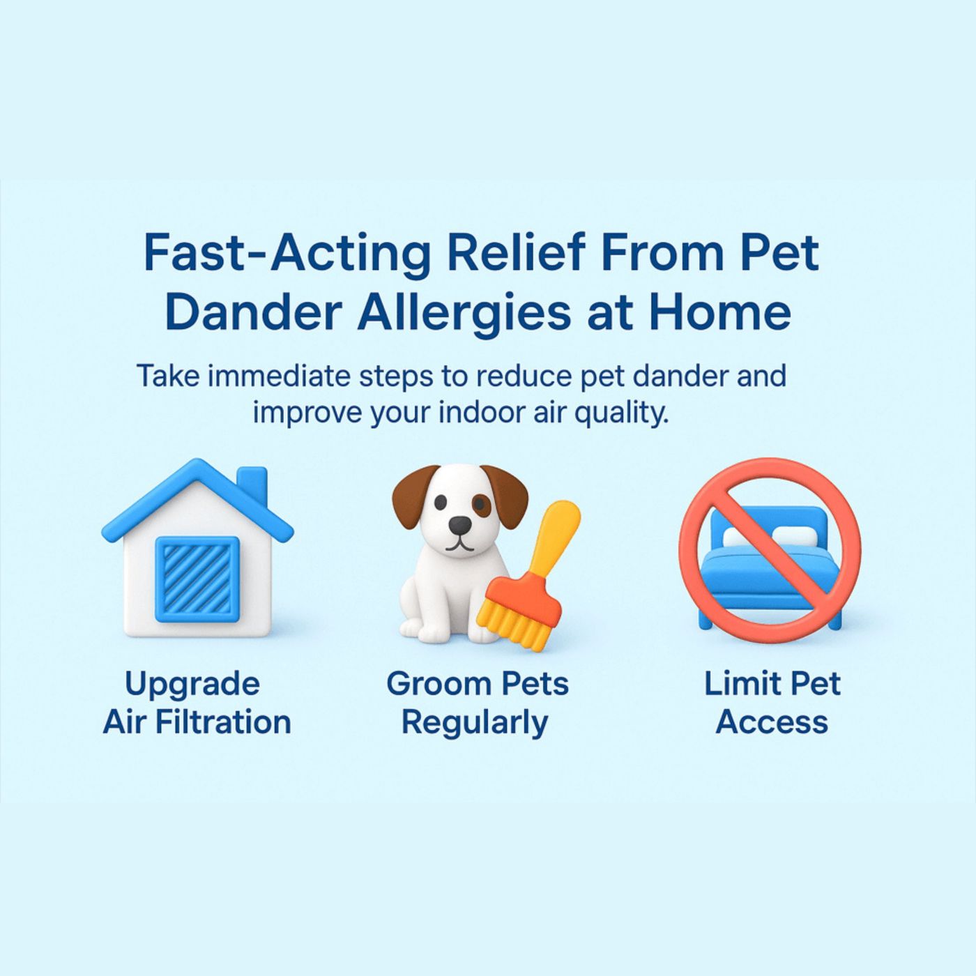 Want Allergy Relief Now? How to Get Rid of Pet Dander Allergy Fast With ...