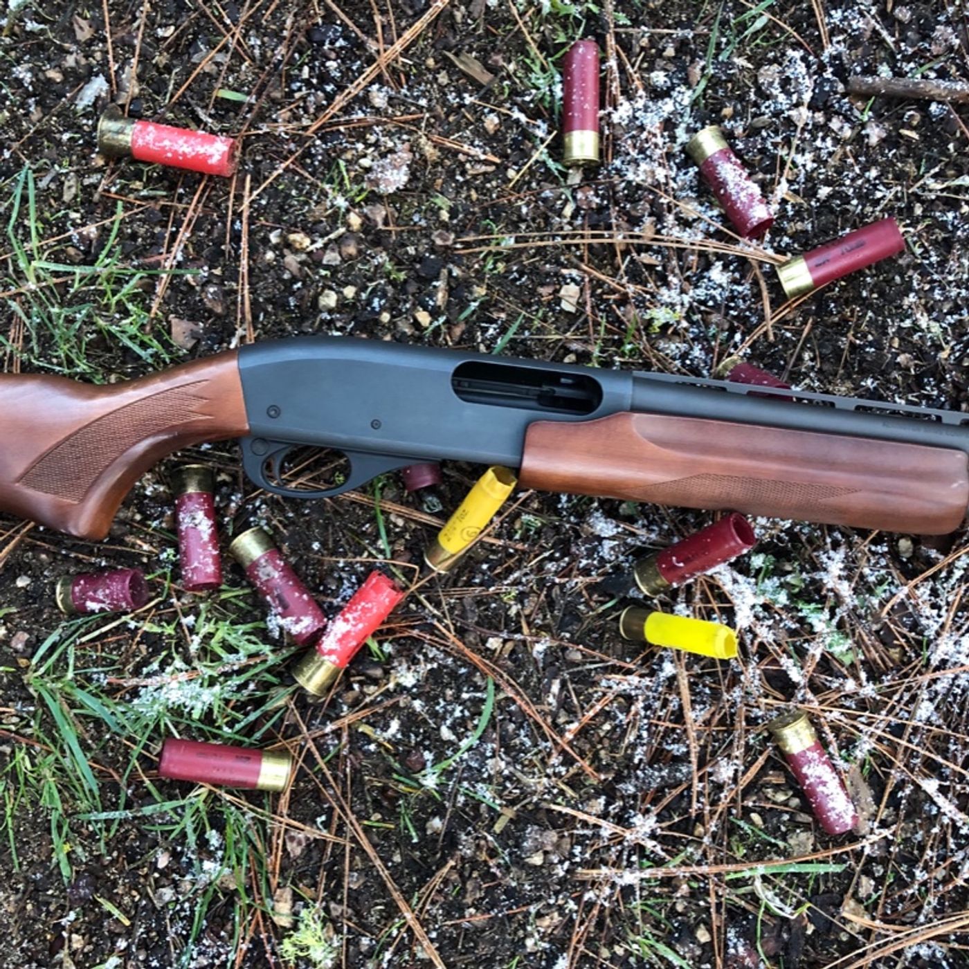 20ga for Survival - Hunting, Fighting & Defense - Gunfighter Life ...