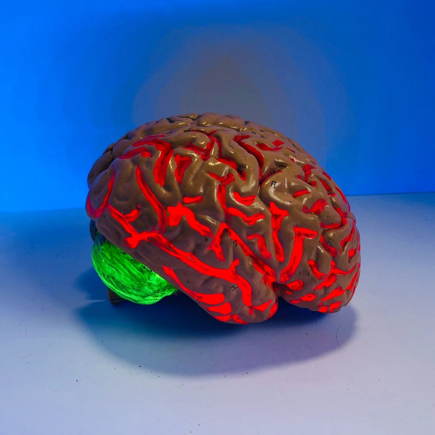 Entrevista a Nacho Roura (@neuronacho): ritmos circadianos, cortisol y ...