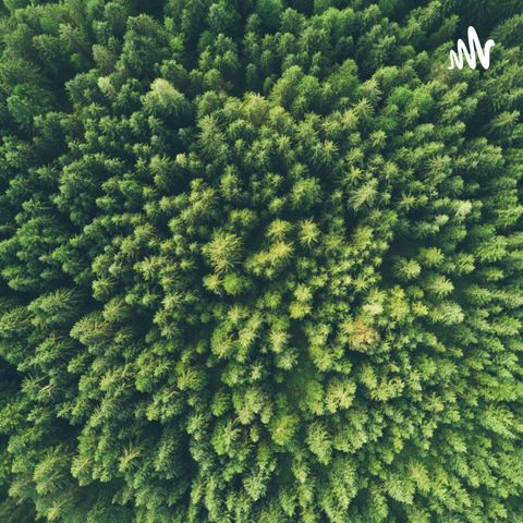 508.成年人的脆弱- 一句话就--泪流满面--【爱琳栖语】