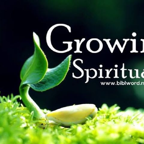 Growing Up Spiritually 2
