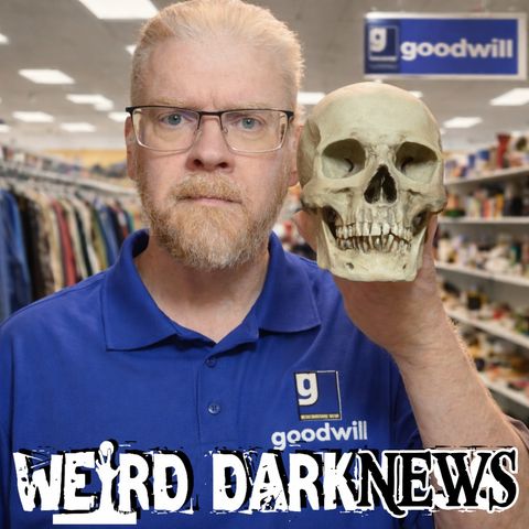 Someone Donated a Human Skull to Goodwill | The Medical Examiner Says ...
